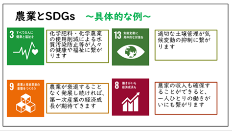 【SDGs】SDGs勉強会開催！！ – JAおちいまばりグループ